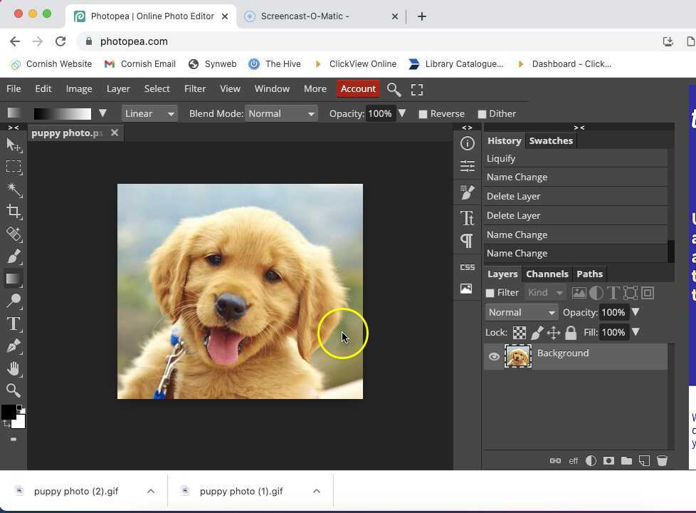 Ms King GIF in Photopea