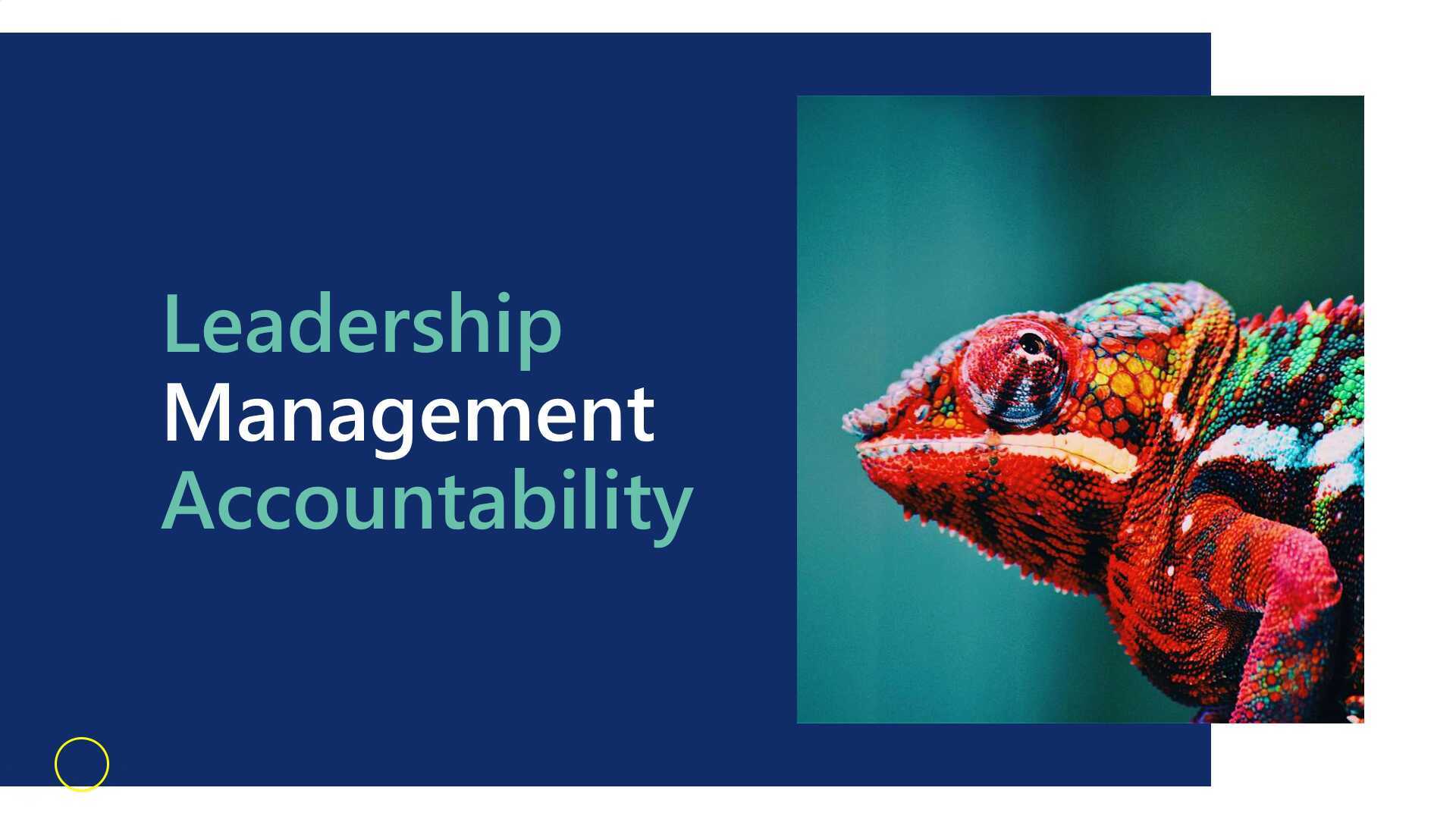 LMA - Module 7 - The Accountability Chart