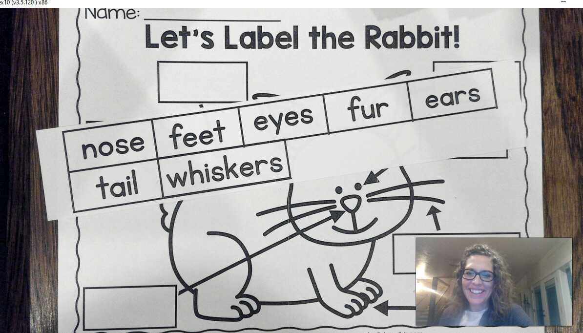 Let's Label the Rabbit! Worksheet