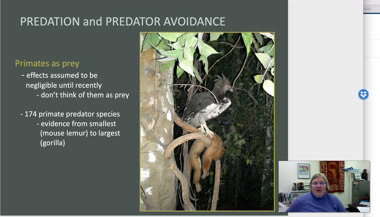 Predation video lecture (52:31min)