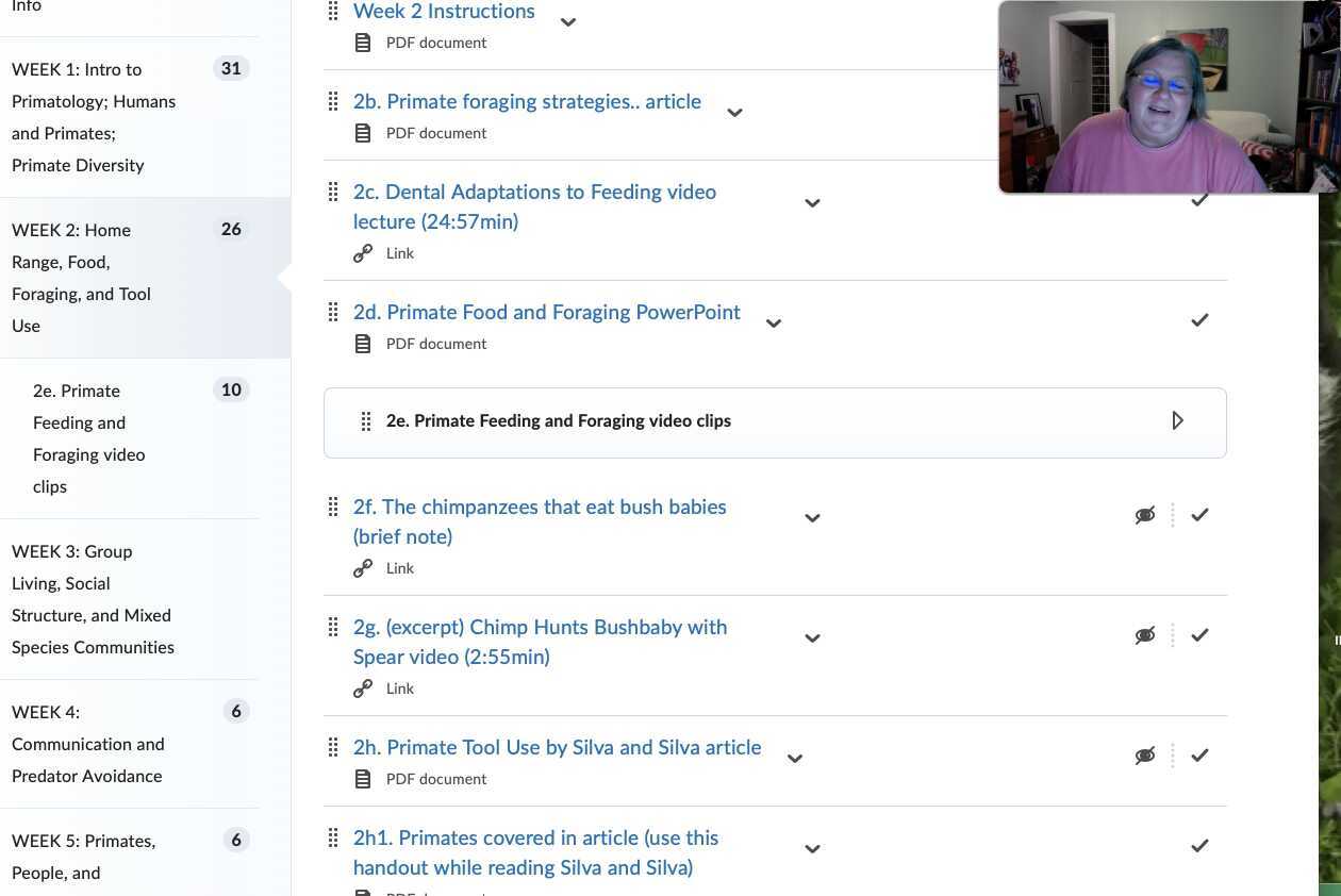 2a. Week Two Intro video (20:52min)