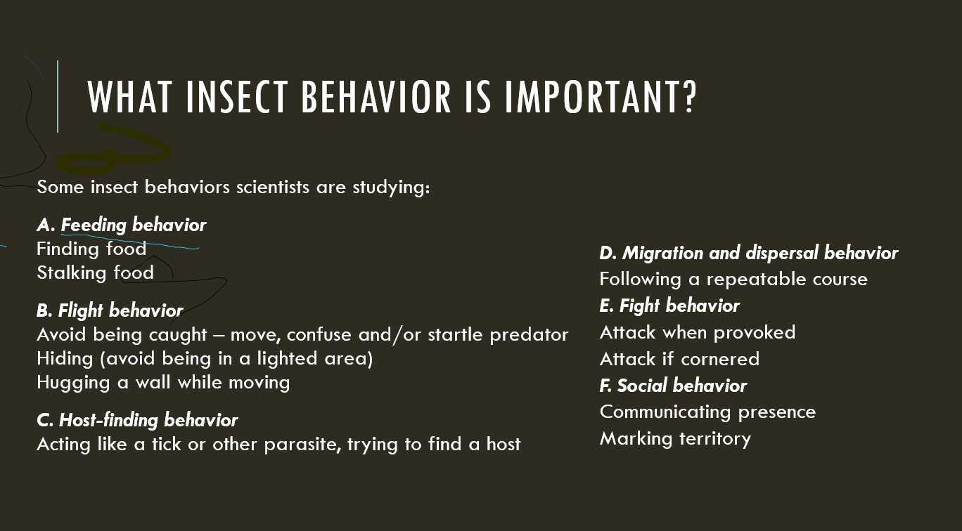 Swarm - Important insect behavior
