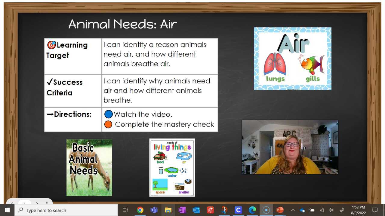 Animal Needs: Air 2