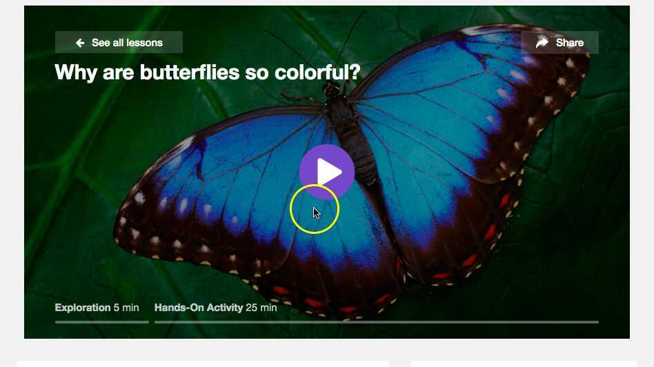 Mystery Science with Doug: Why are butterflies so colorful?