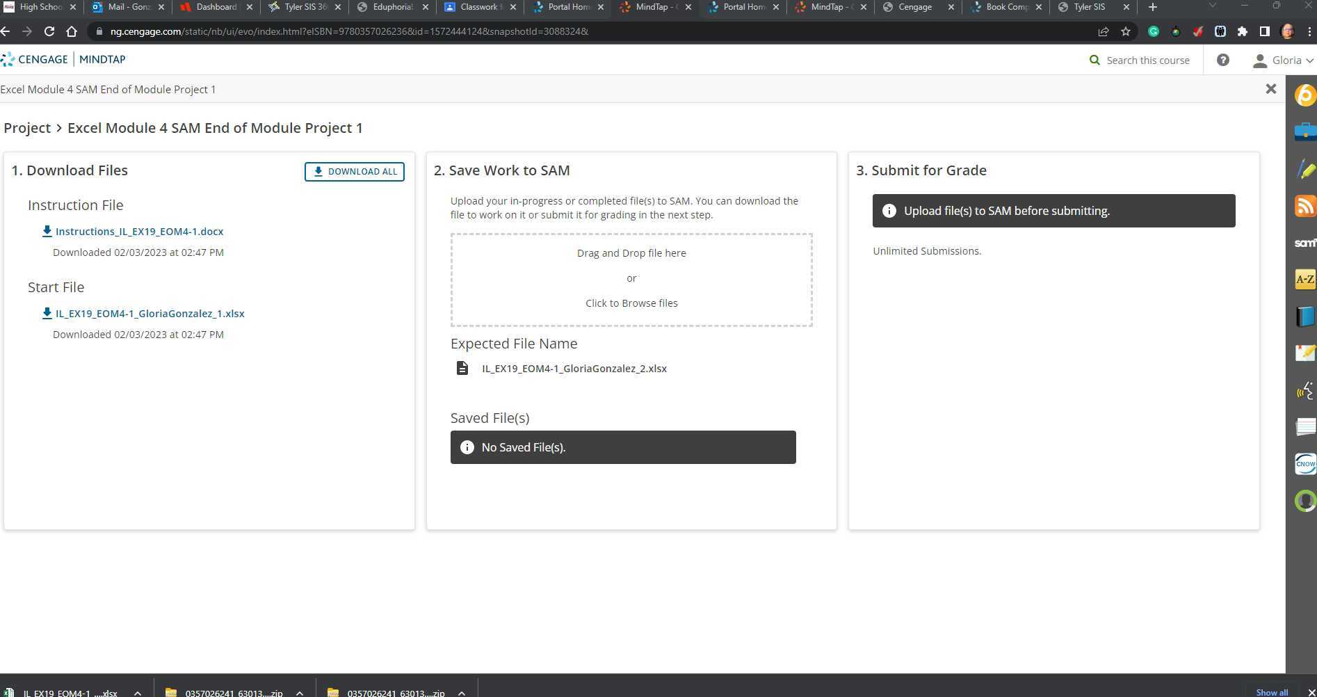 Excel End of Module 4 Project 1 (1 video only)