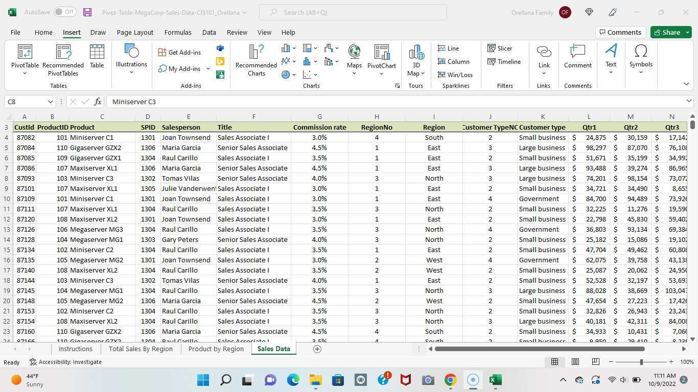 pivot table CIS 101Orellana