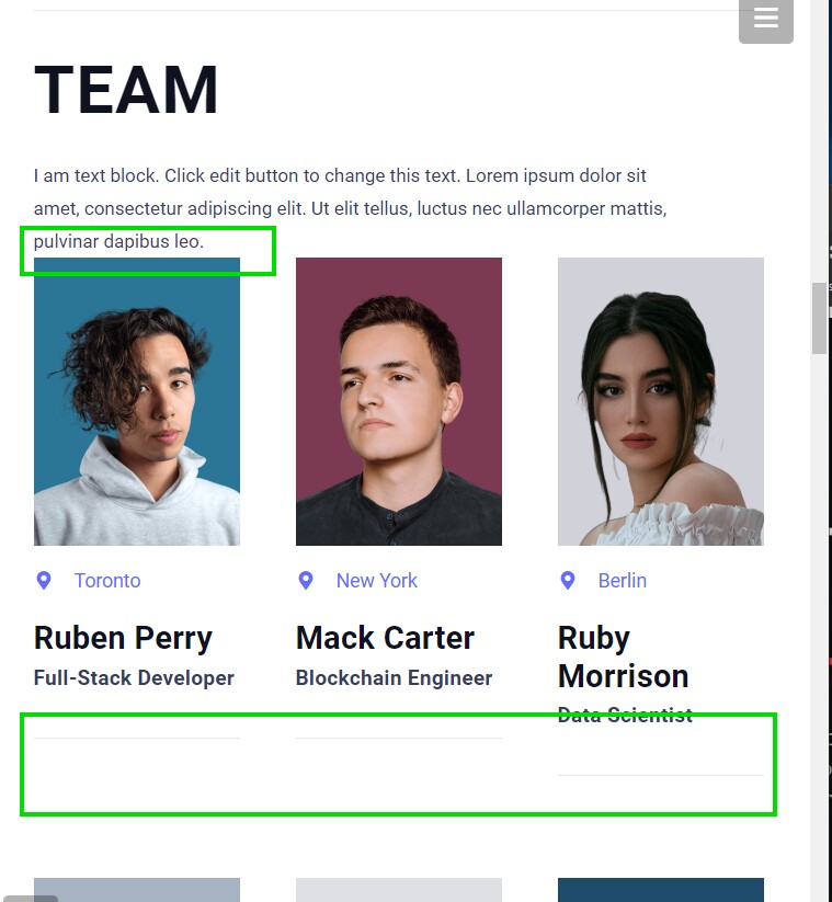 Snip - Team Draft 2 - Layout Templates Library - Google Chrom