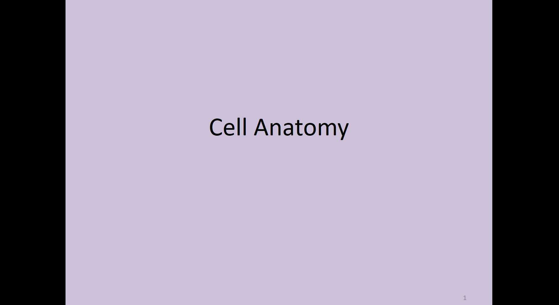 Cell Anatomy BIO168