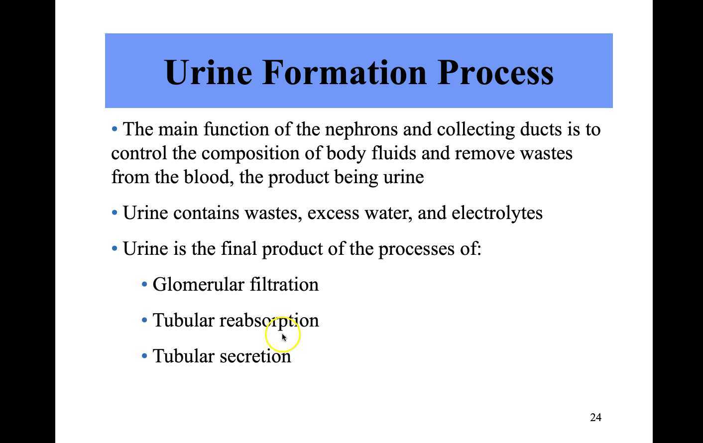 Urine Formation Lecture