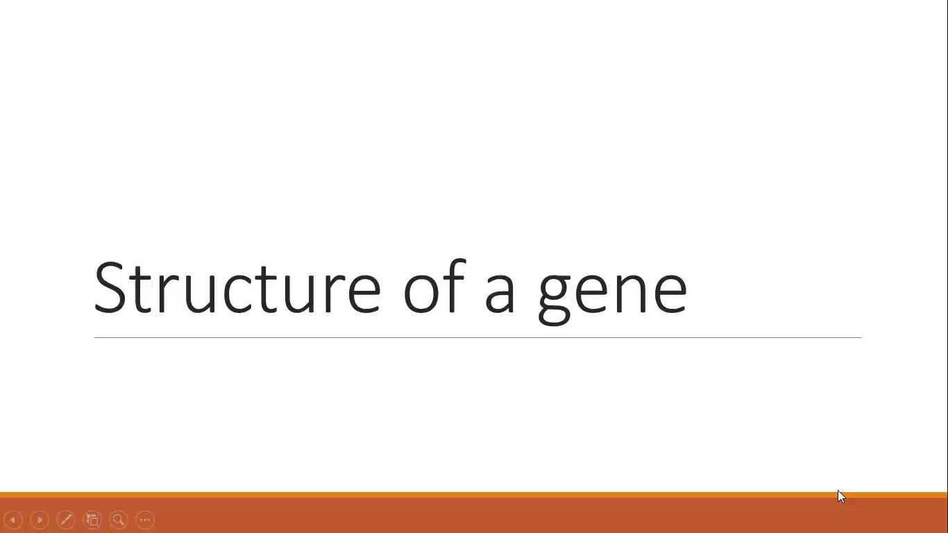 Gene Structure