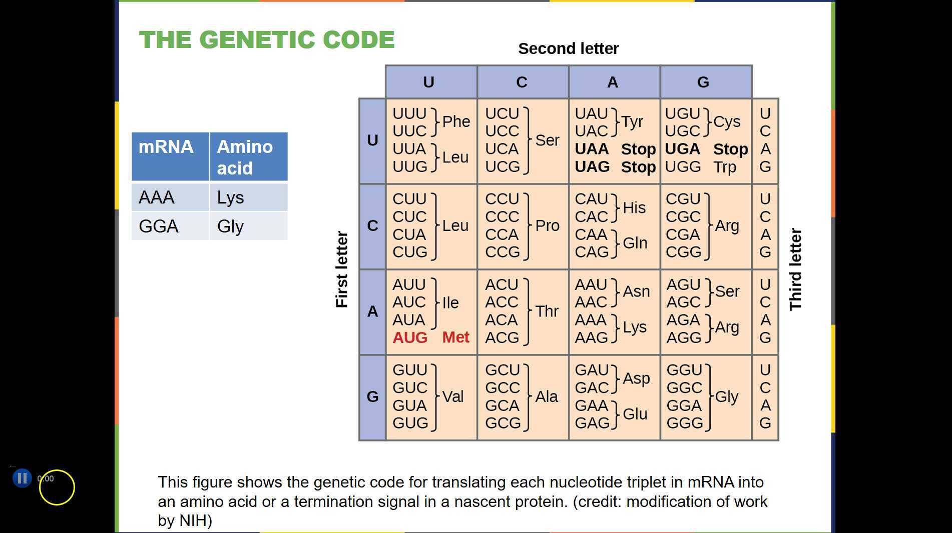 Protein Synthesis Video 4 - Universal Code