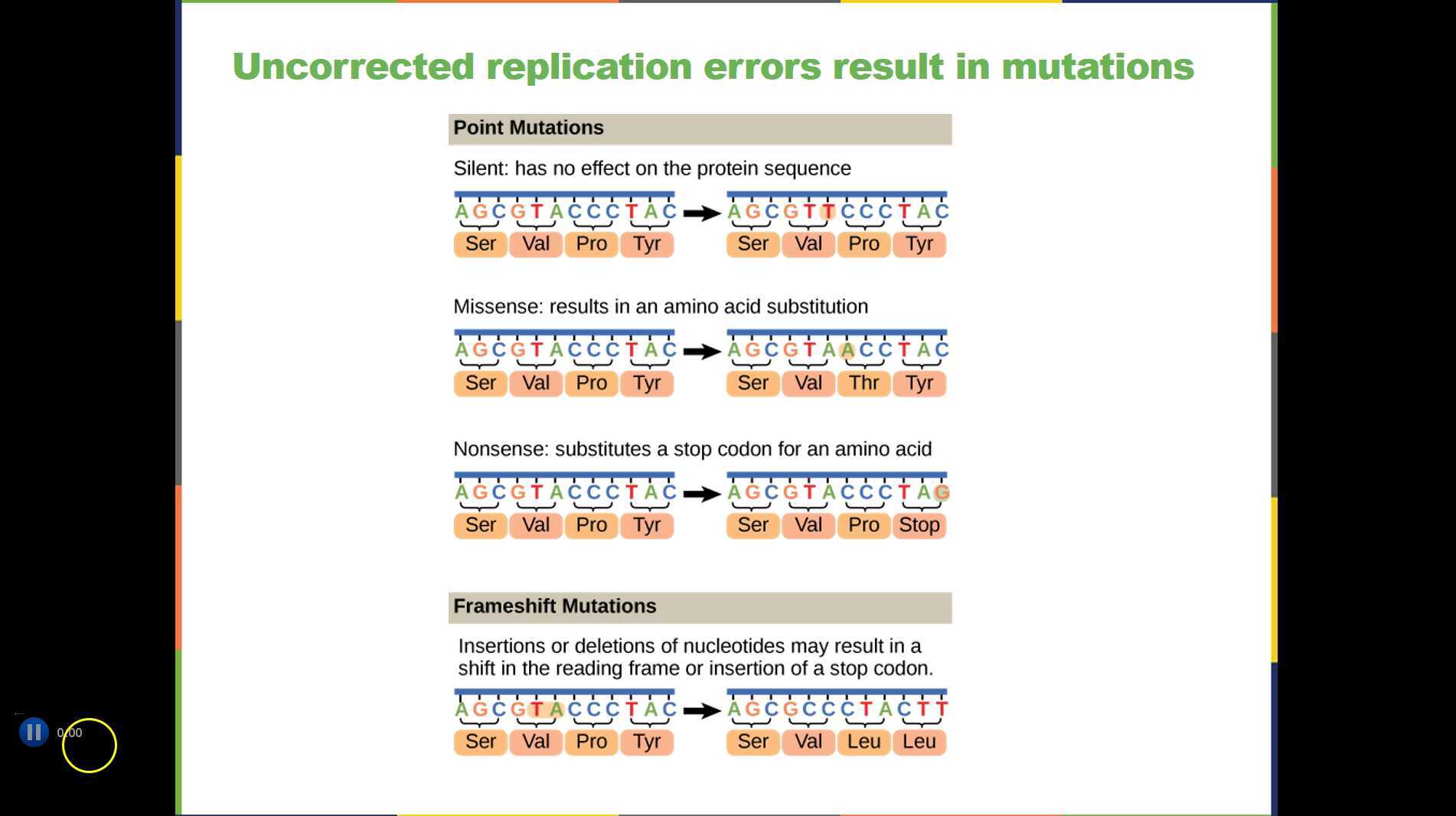 Protein Synthesis Video 6 - Mutations