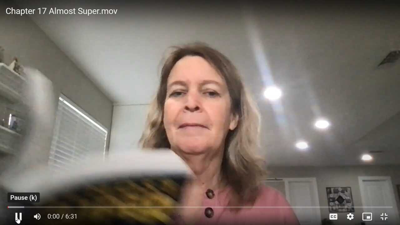 Chapter 17 Almost Super