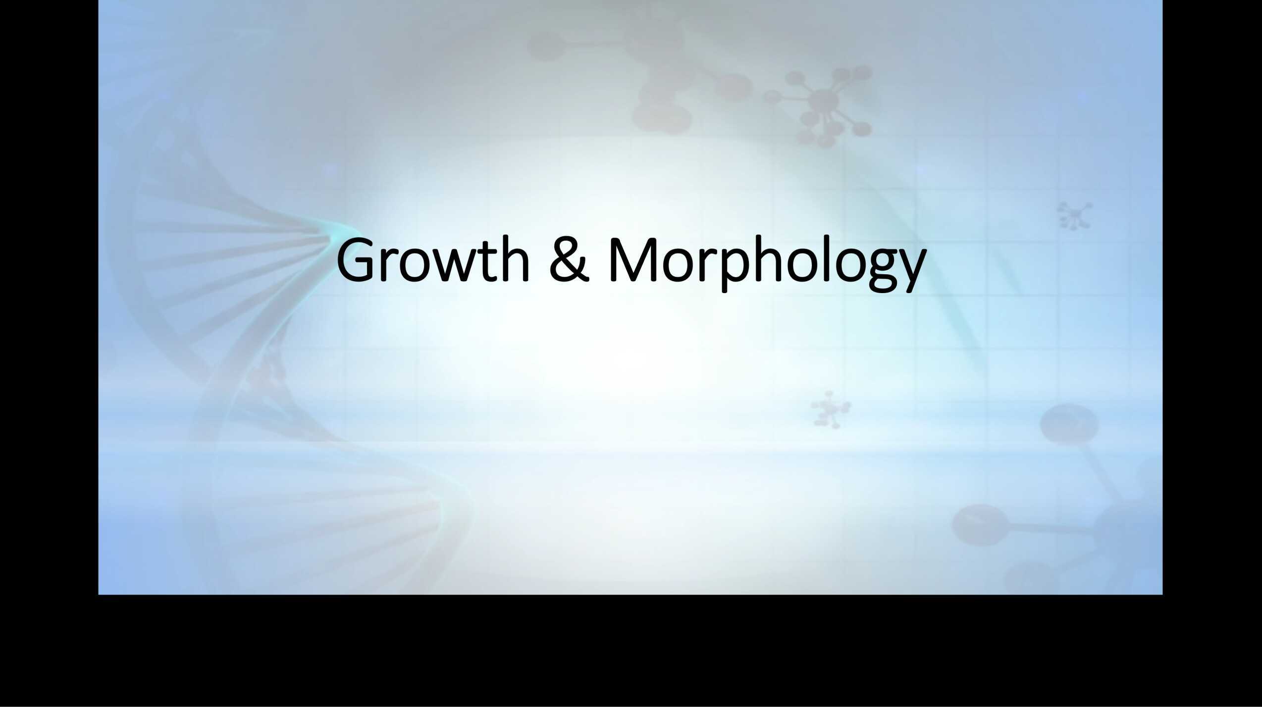 Growth and Morphology