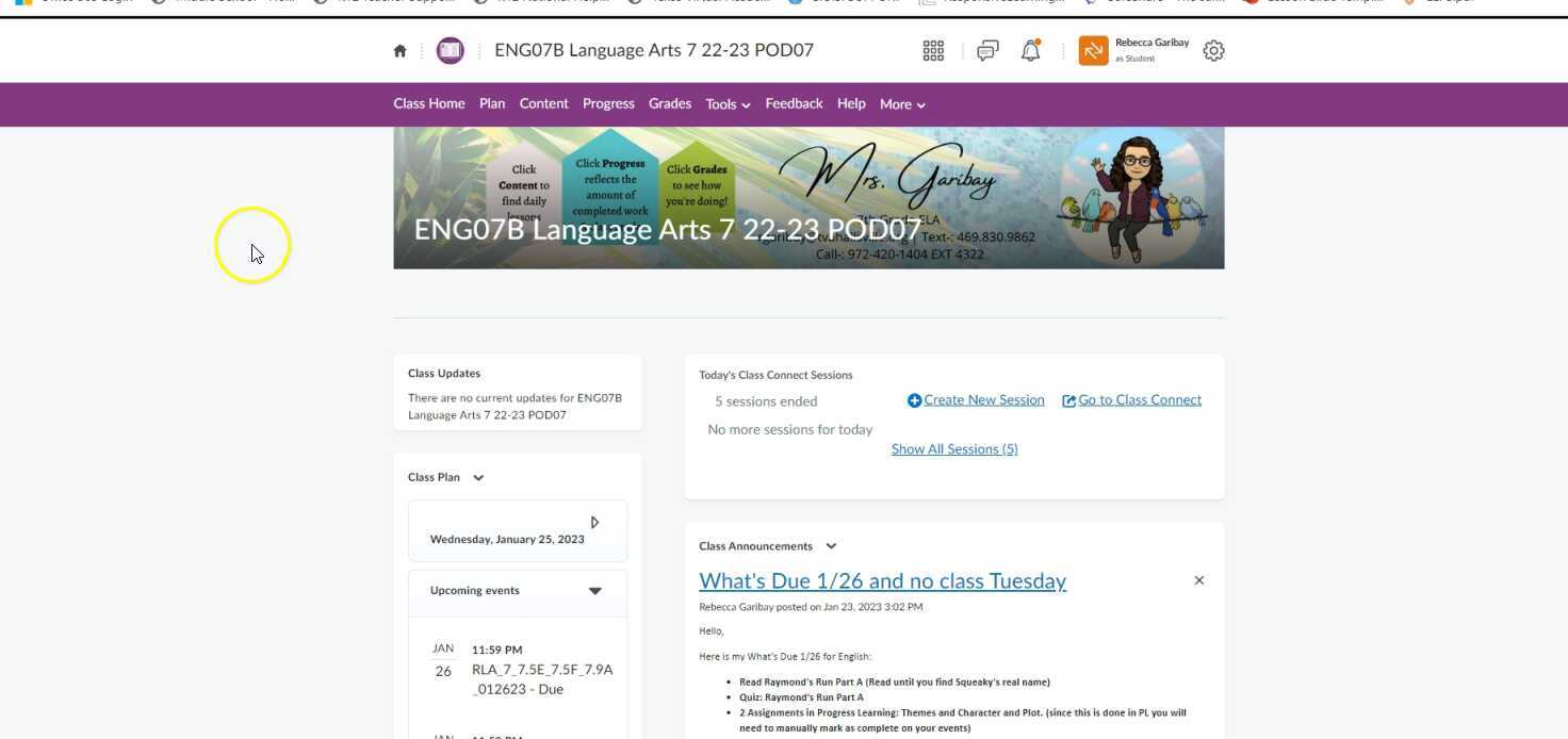 Marking items as complete and Progress learning