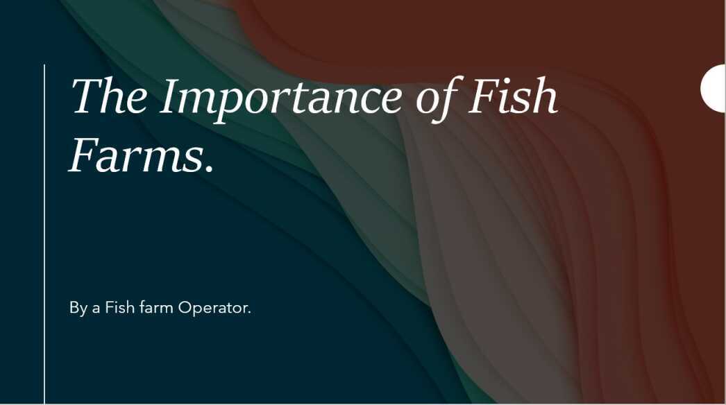 The Importance Of Fish Farms The Importance Of Fish Farms