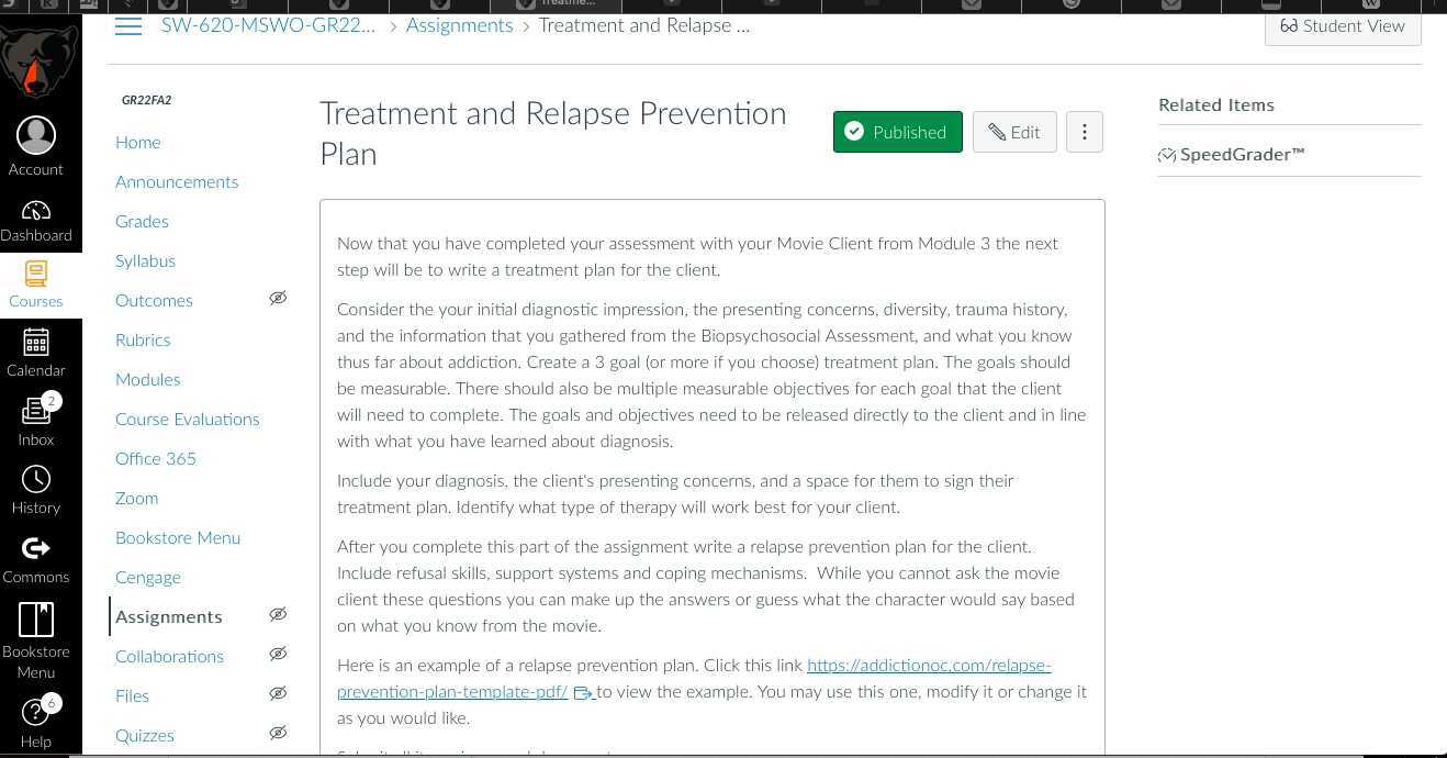 Treatment and relapse prevention planning