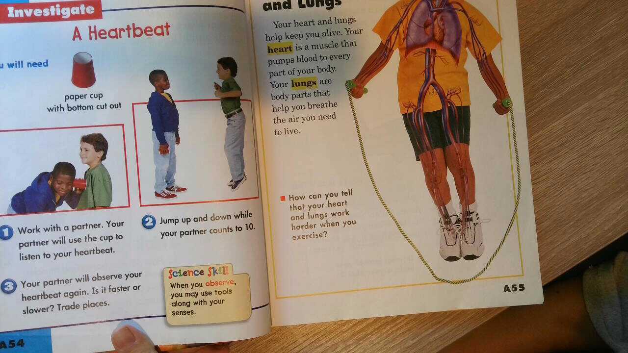 Science Chapter 3 Lesson 3