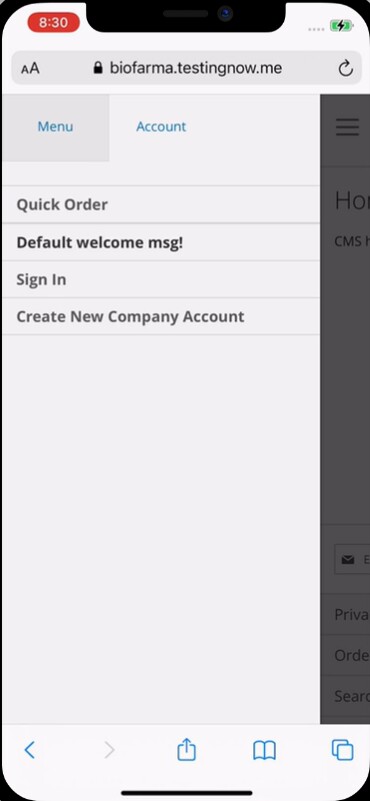 Snip - iPhone 12 Pro v14.3 - Google Chrome