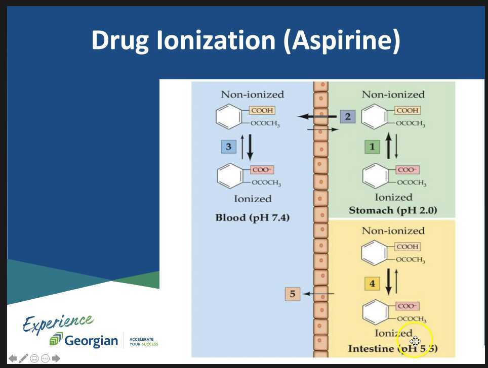BIOL2014 Drug Solubilization Part 2