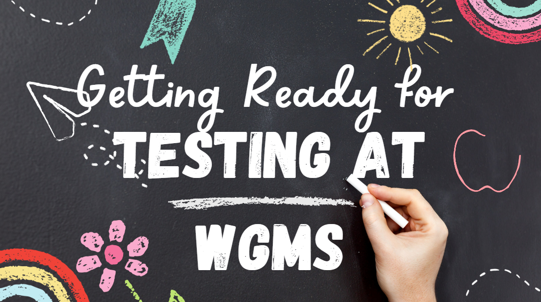 Getting Ready for Testing at WGMS