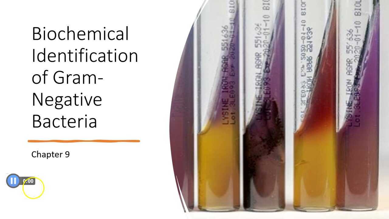 GNR Biochemical Identification