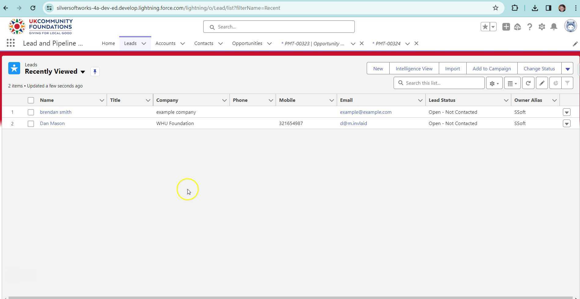 Video 2 - Lead Development and Conversion